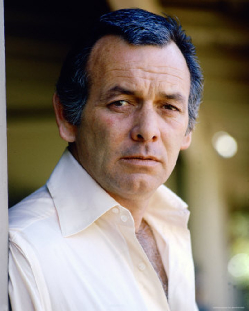 David Janssen bilder, biografi och filmografi | MovieZine