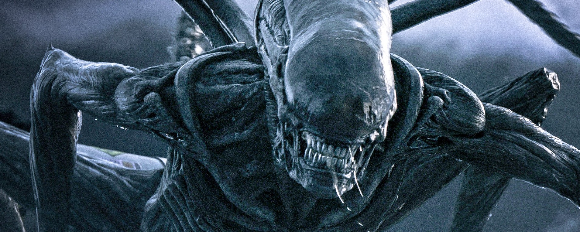 Vad planerar Ridley Scott för nästa "Alien"-film? | MovieZine