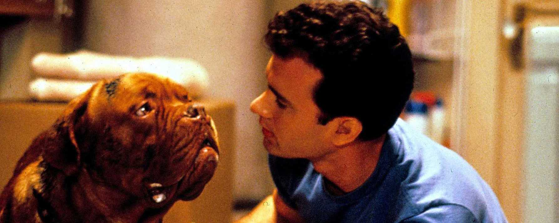 McG regisserar nya ”Turner & Hooch”-serien | MovieZine