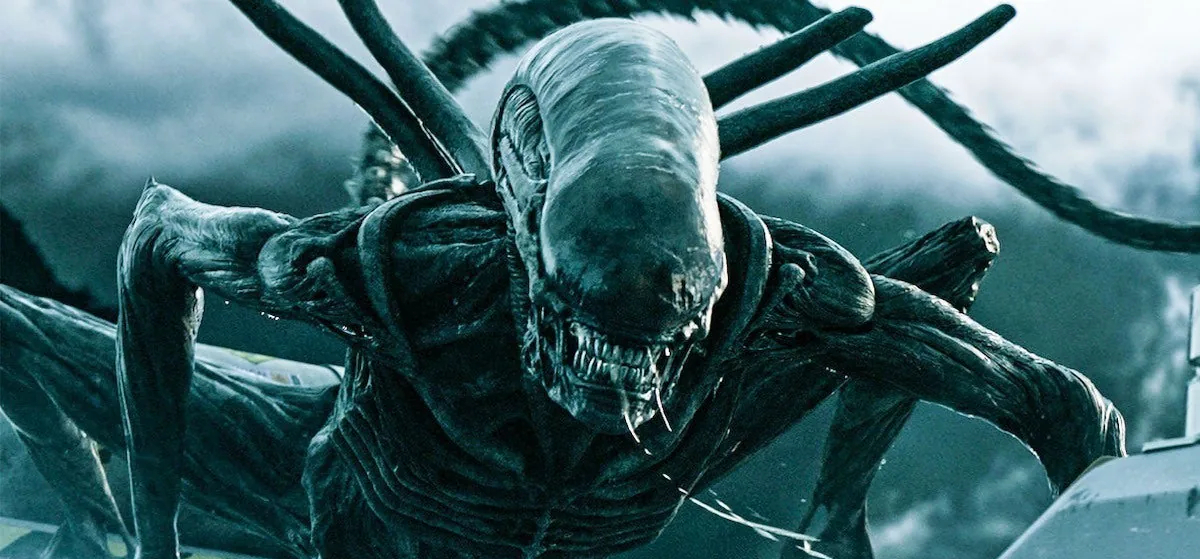 “Alien”-serien har hittat sin huvudroll | MovieZine