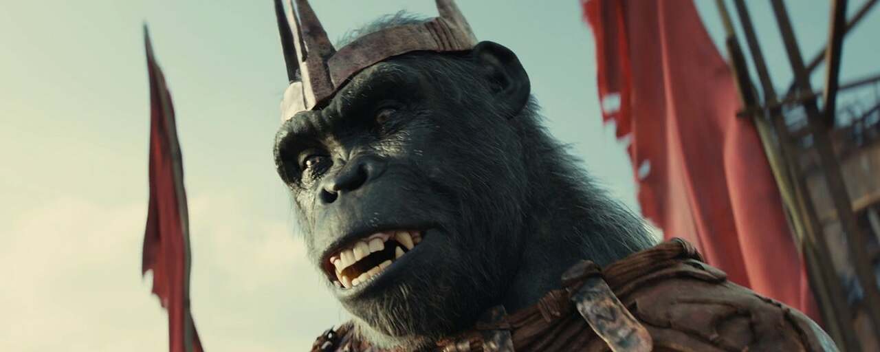 Trailer: Aporna styr i "Kingdom of the Planet of the Apes" | MovieZine