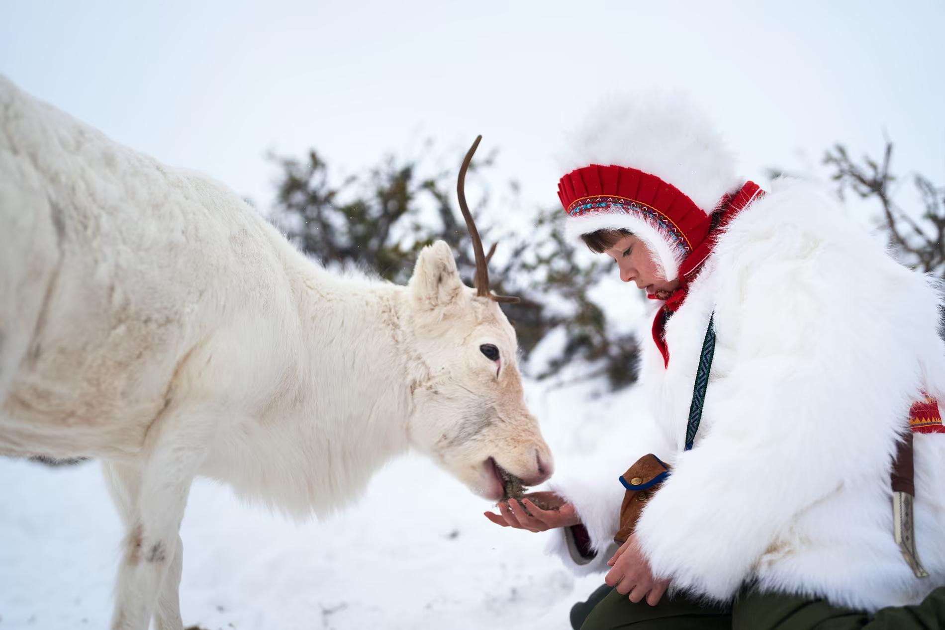 Peter Birro: "Det är vad en manusförfattare drömmer om!" | MovieZine